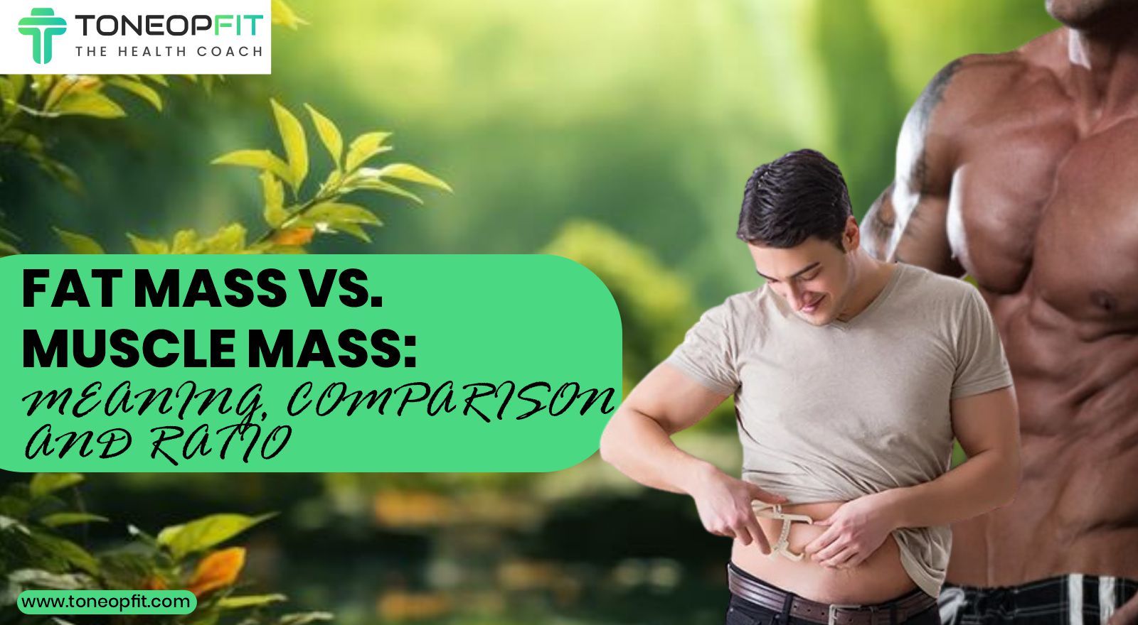 Fat Mass Vs. Muscle Mass: Meaning, Comparison And Ratio