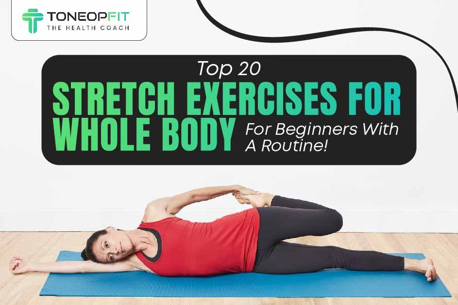 20 Stretch Exercises For Whole Body For Beginners | ToneOpFit